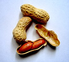 Money idiom: To pay peanuts - Serena's blog